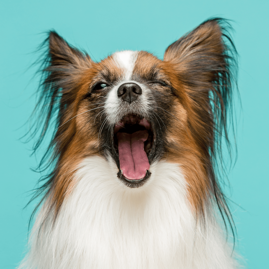 Contact - Vezer Care