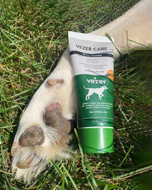Vezer Care Honey Ointment - Vezer Care
