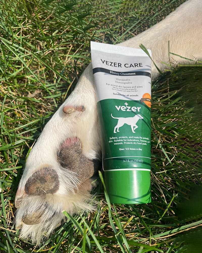 Vezer Care Honey Ointment - Vezer Care